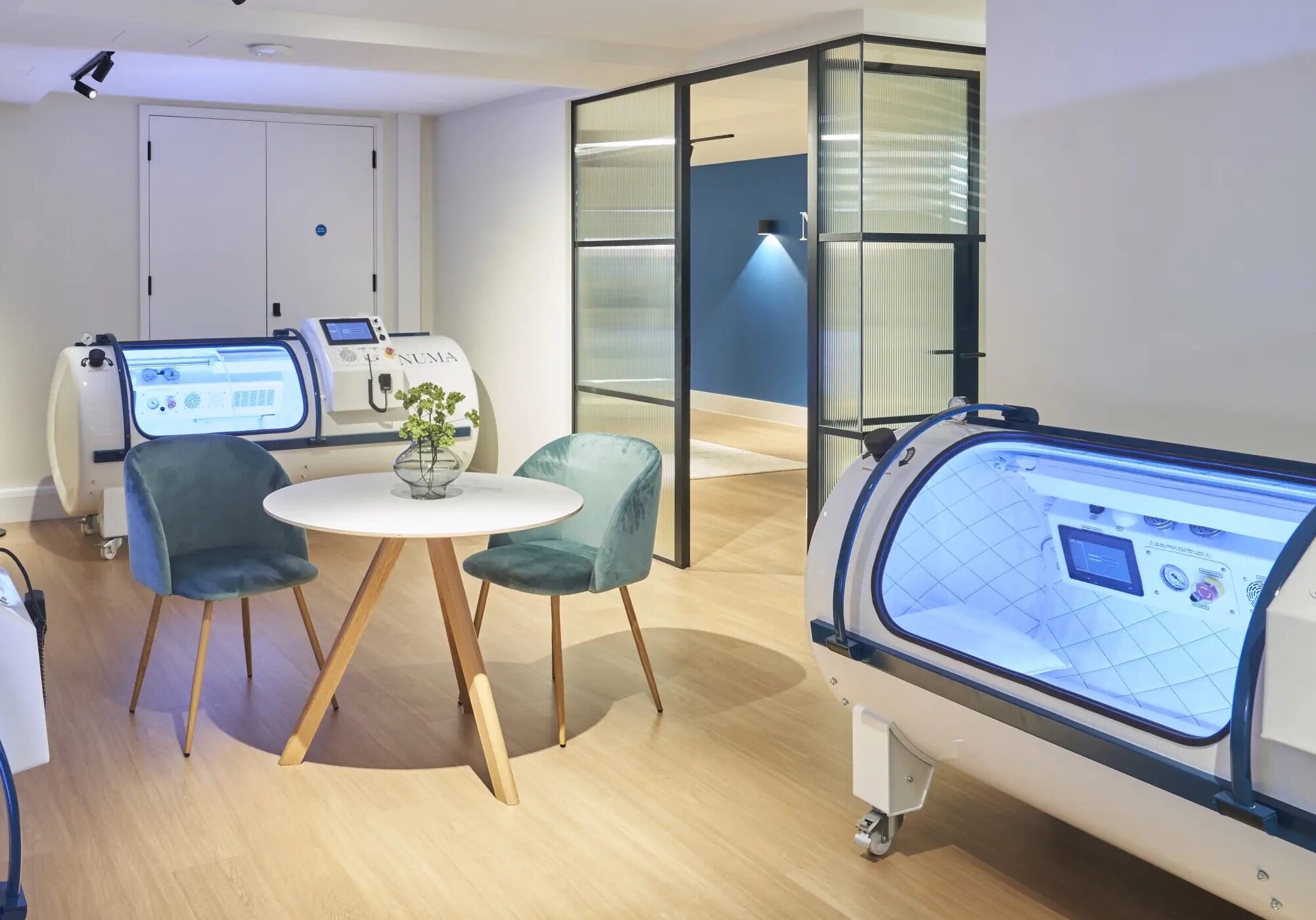 What's New In The World Of Wellness This Month | Hip And Healthy