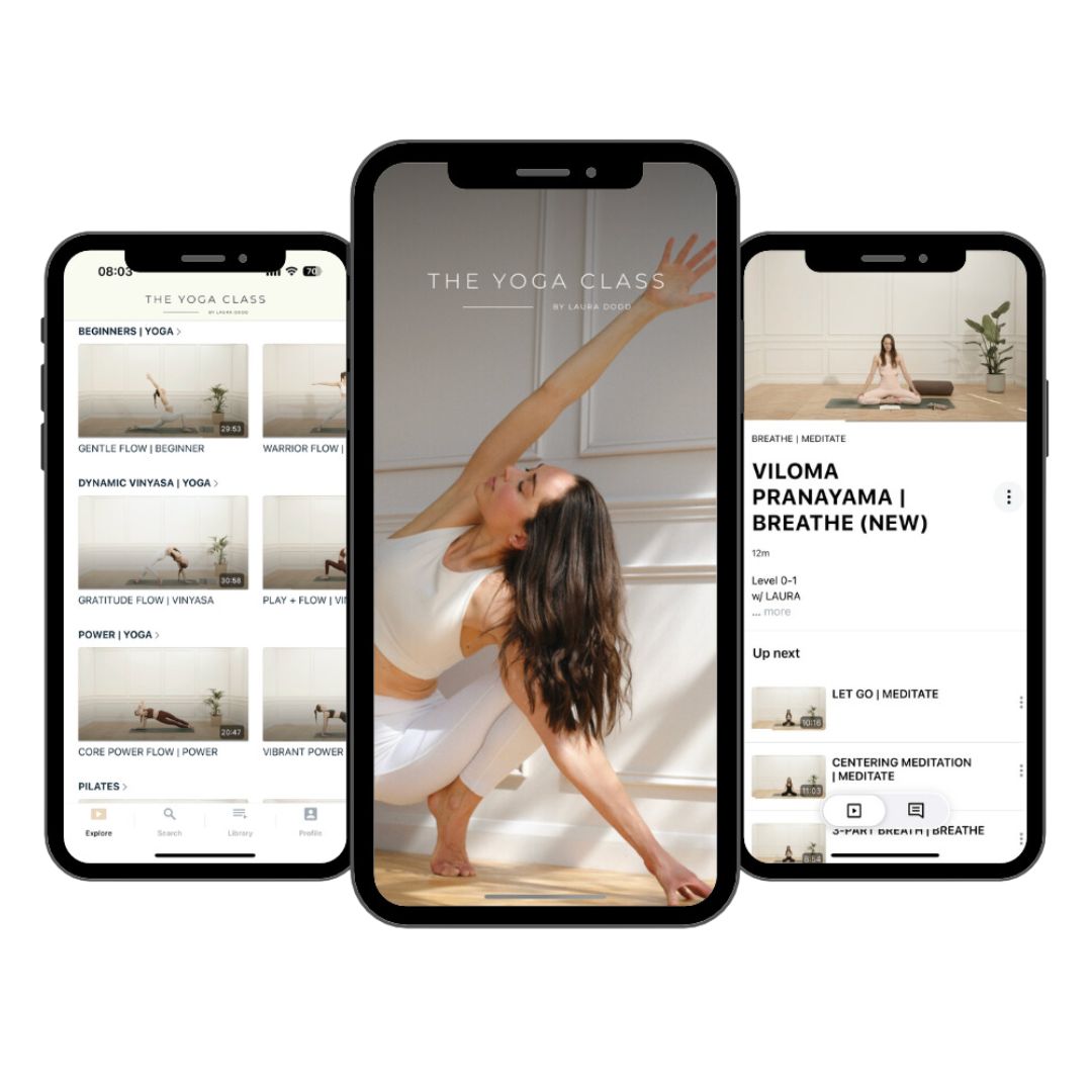 The Best Fitness Workout Platforms To Try In 2025 Hip And Healthy